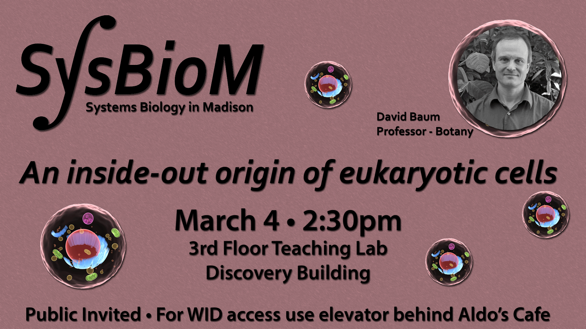 030414DavidBaum – Yin Lab