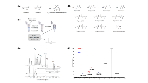 Research – Yin Lab